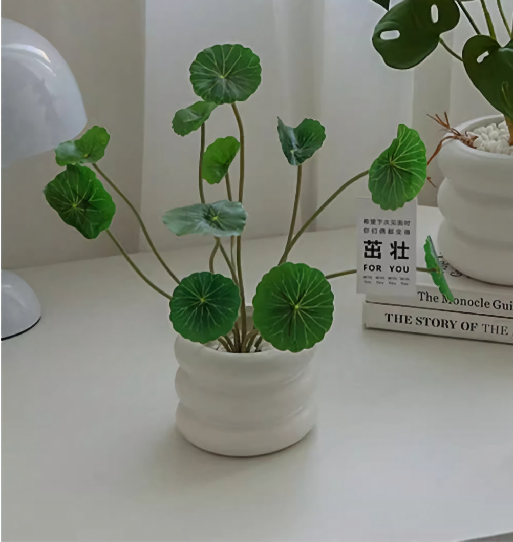 Primrue 13.39 Plant | Wayfair