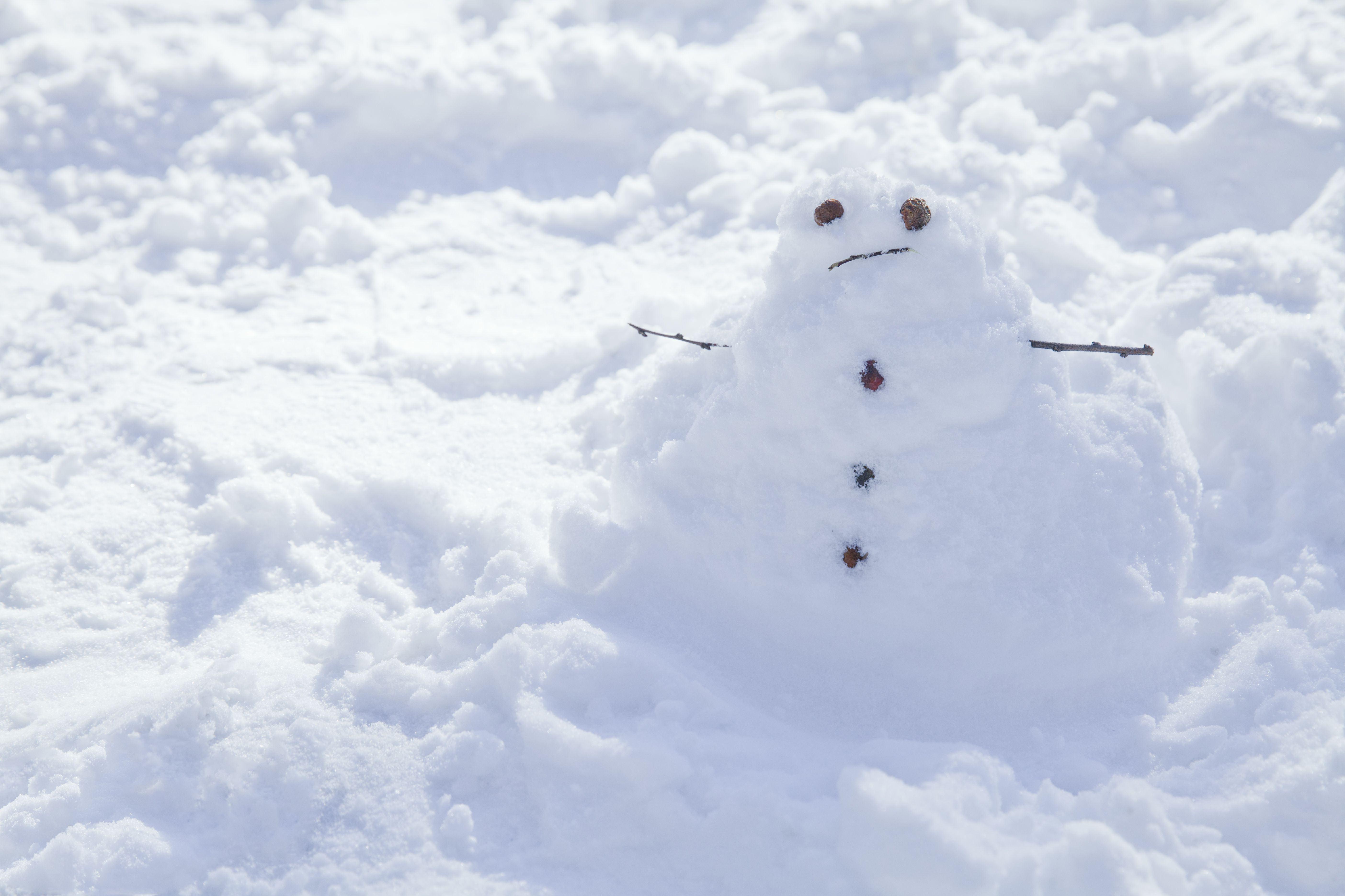 Ebern Designs Snow Creation - Wrapped Canvas Photograph | Wayfair