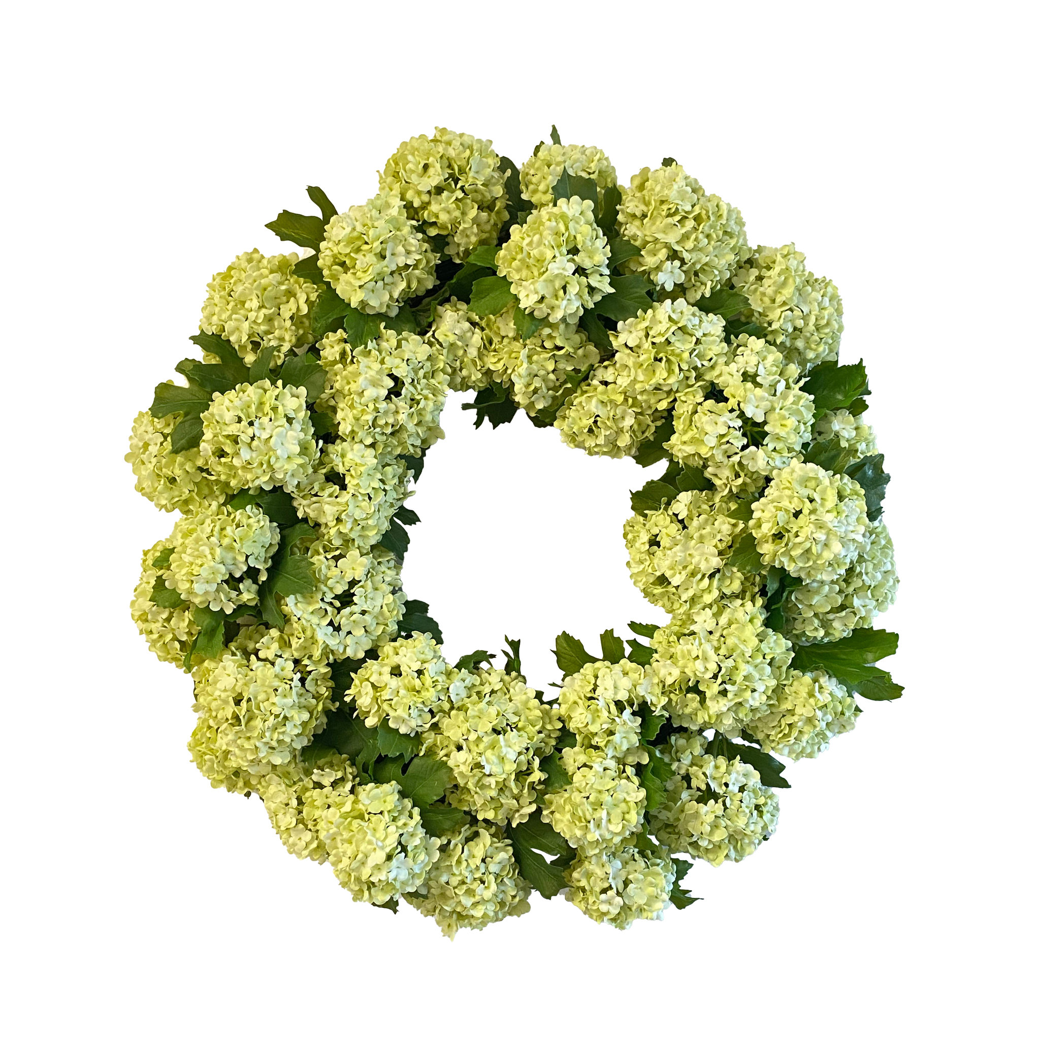 The Holiday Aisle® Snowball 24" Floral Wreath | Wayfair