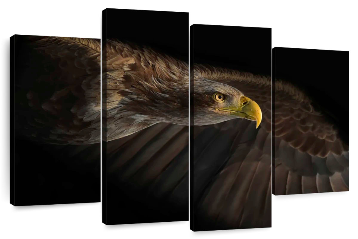 Ebern Designs Eager Eagle | Wayfair