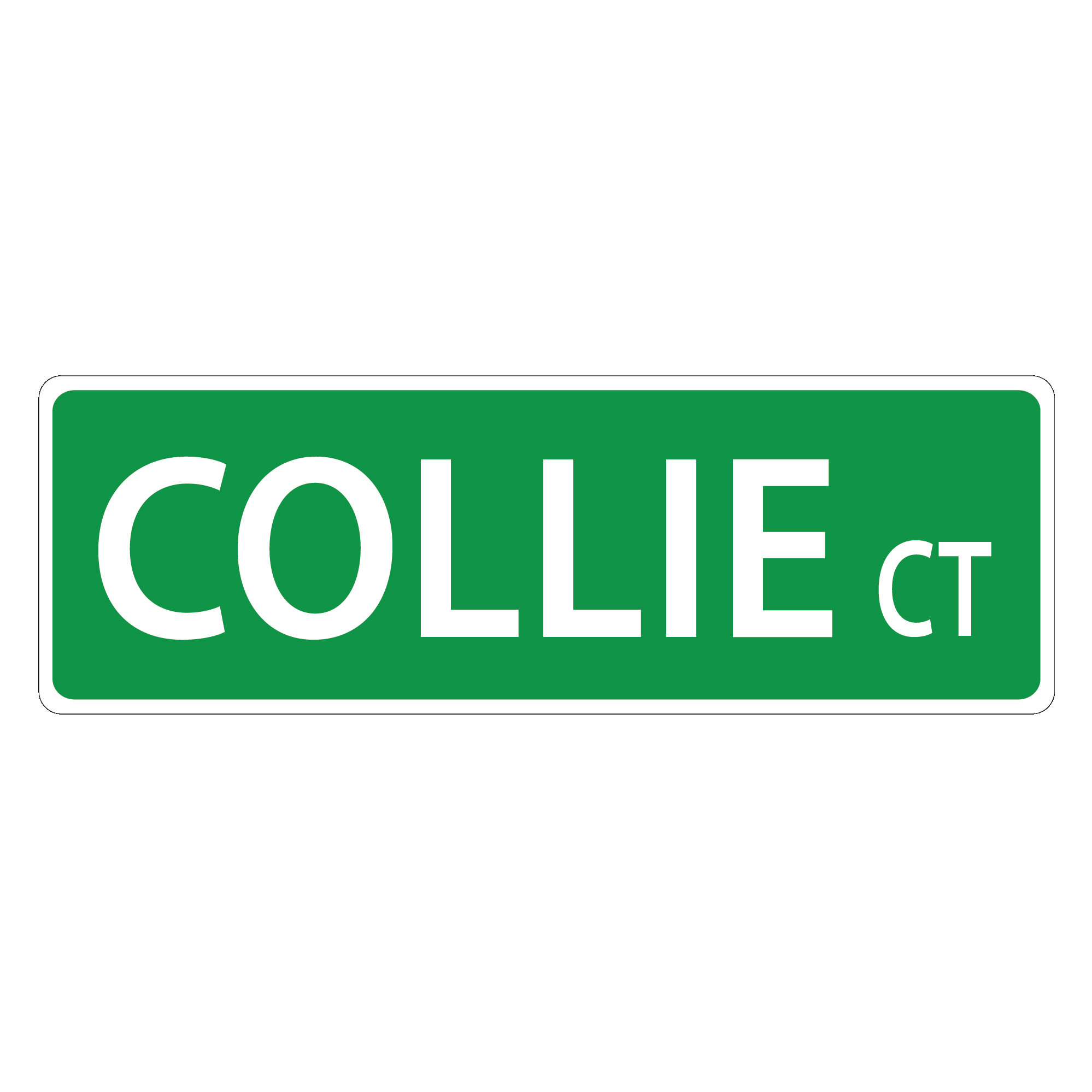 Imagine This Company Collie Hanging Street Sign | Wayfair