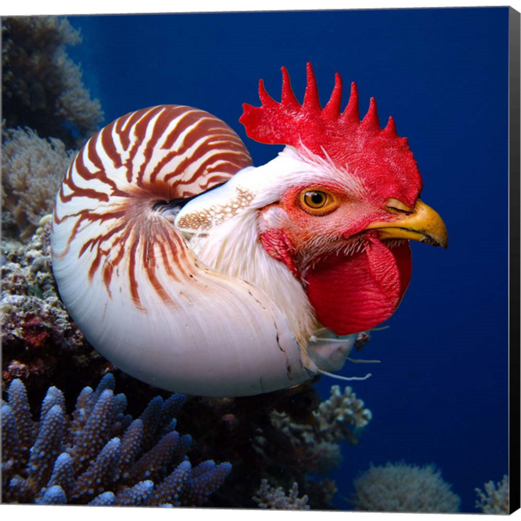 Trinx Chicken of the Sea by Pixelmated Animals - Wrapped Canvas ...