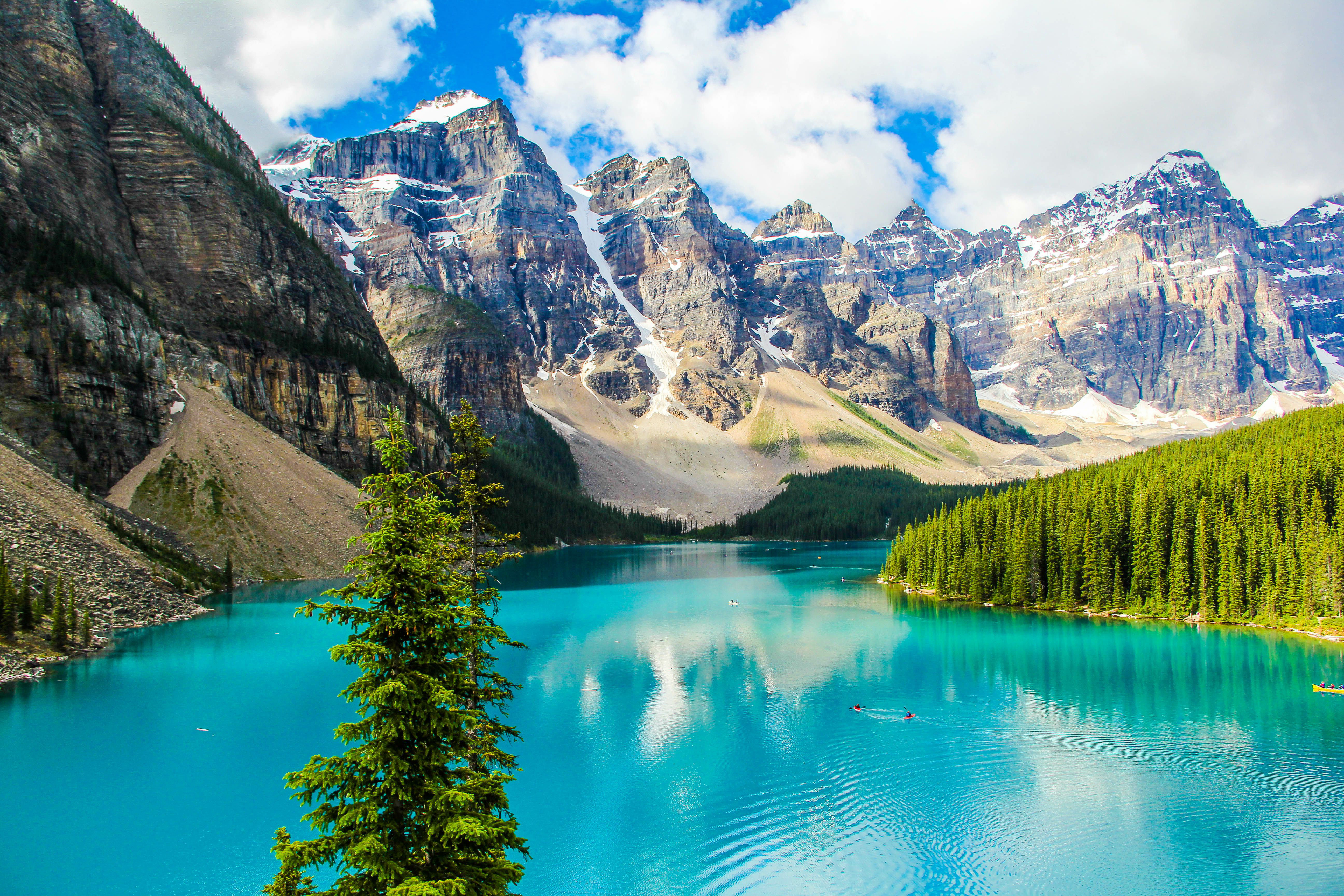 Millwood Pines Banff National Park by Alicepye - Wrapped Canvas ...
