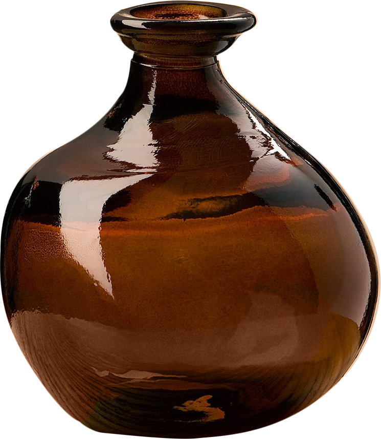 VivaTerra Heier Modern Bubble Recycled Glass Balloon Vase & Reviews ...