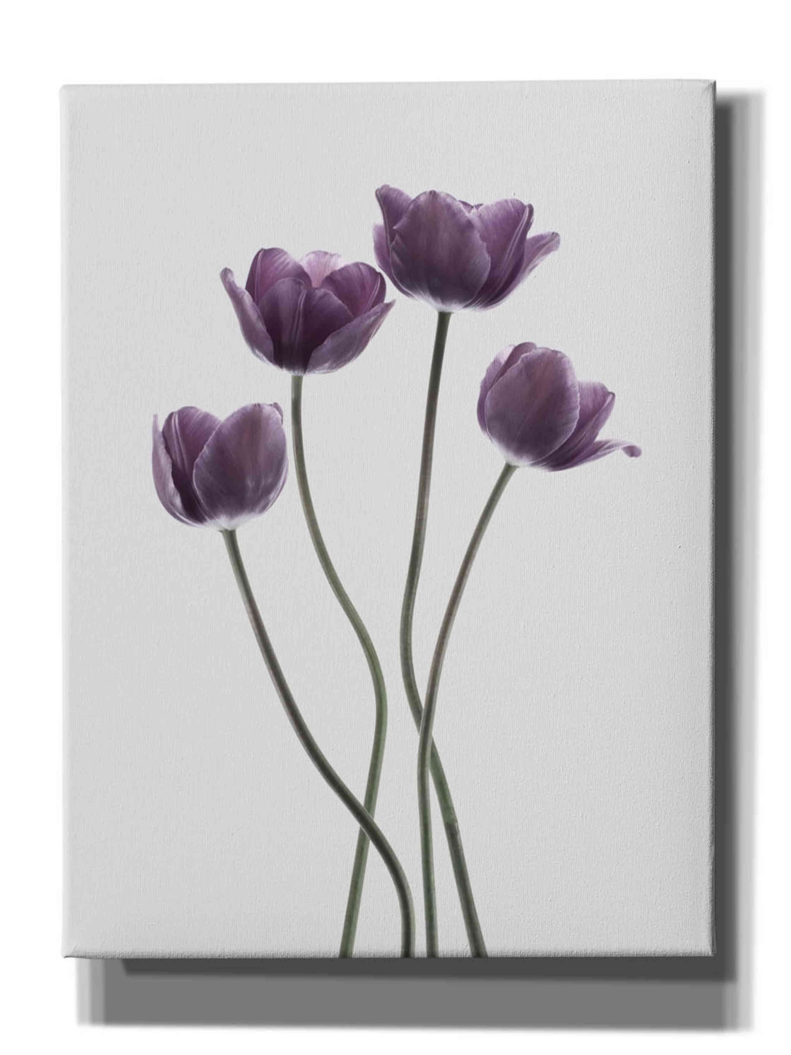 Red Barrel Studio Epic Graffiti 'Tulips Purple' By Design Fabrikken ...