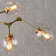 Gracie Oaks Kenbridge 8 - Light Sputnik Modern Linear Chandelier ...