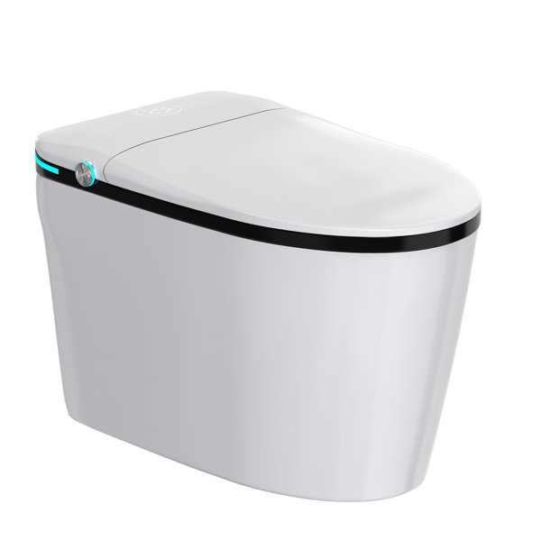 EVERSTEIN High-End Intelligent Commode With Integrated Bidet Seat ...