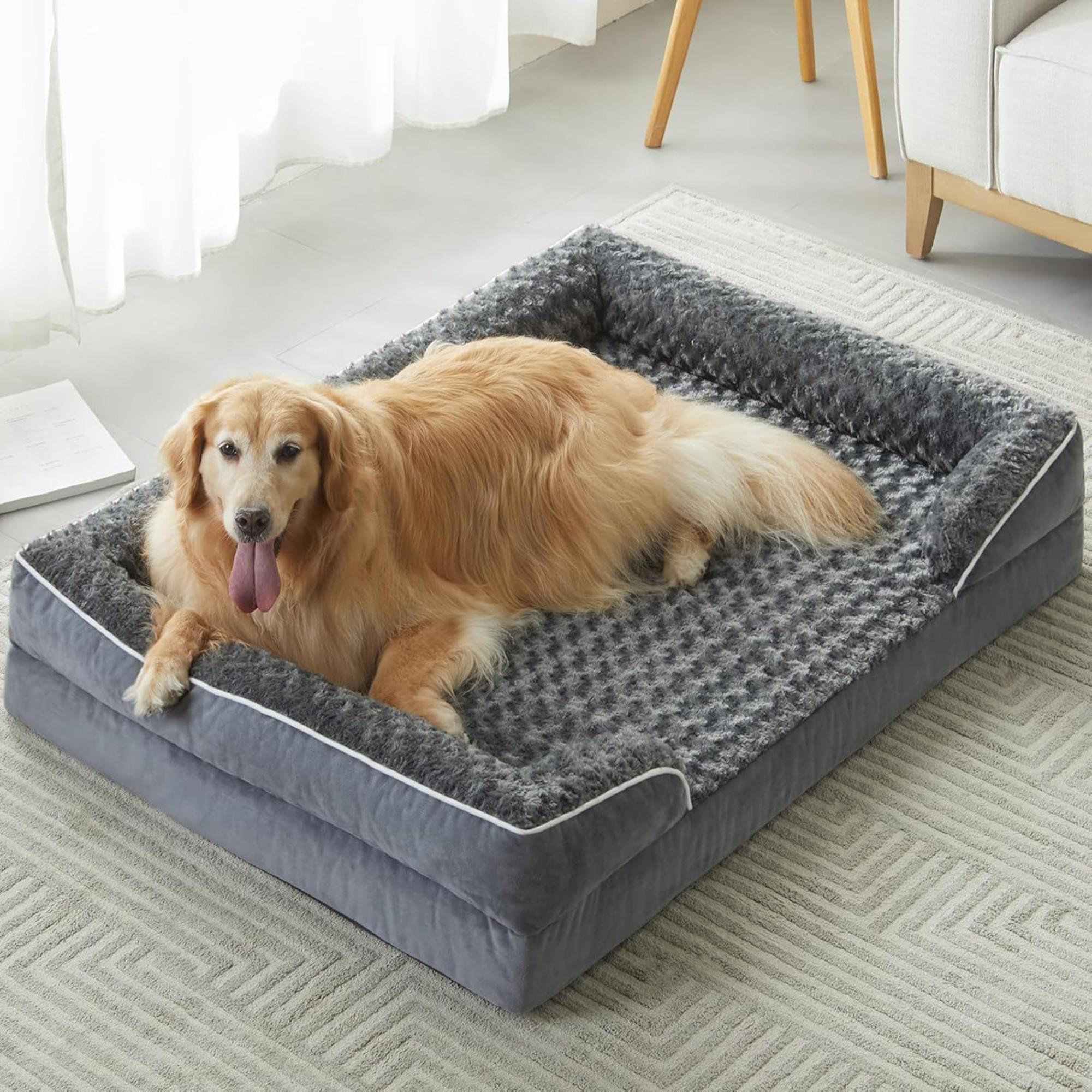 bug dog bed