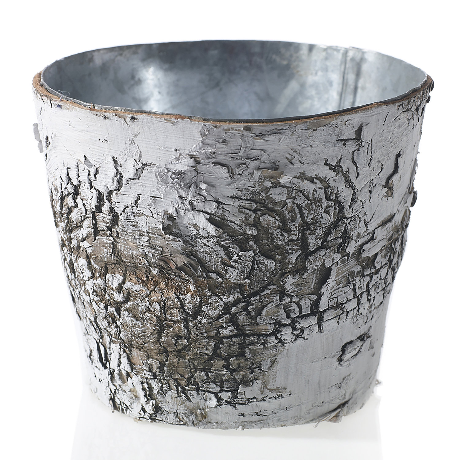 Loon Peak Birch Pot With Zinc - Wayfair Canada