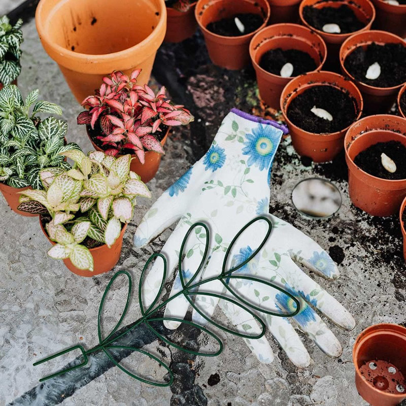 George Oliver 2Pack Indoor Plant Trellis Metal Wire Garden Trellis ...