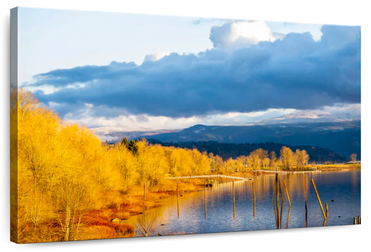 Millwood Pines Alvord Columbia River Old Marina Stilts | Wayfair