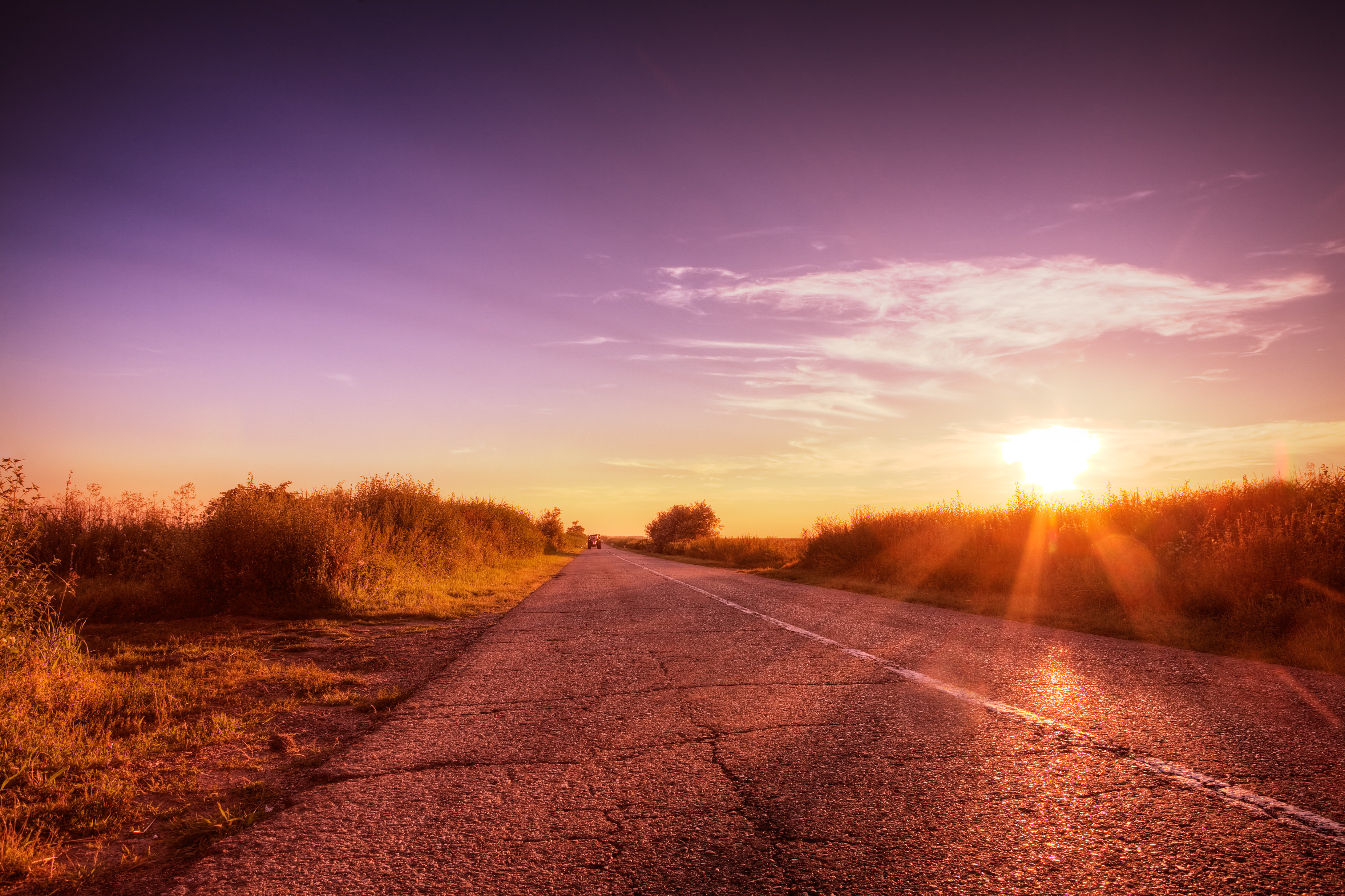 Ebern Designs Purple Countryside Road Sunset by Nosystem Images | Wayfair