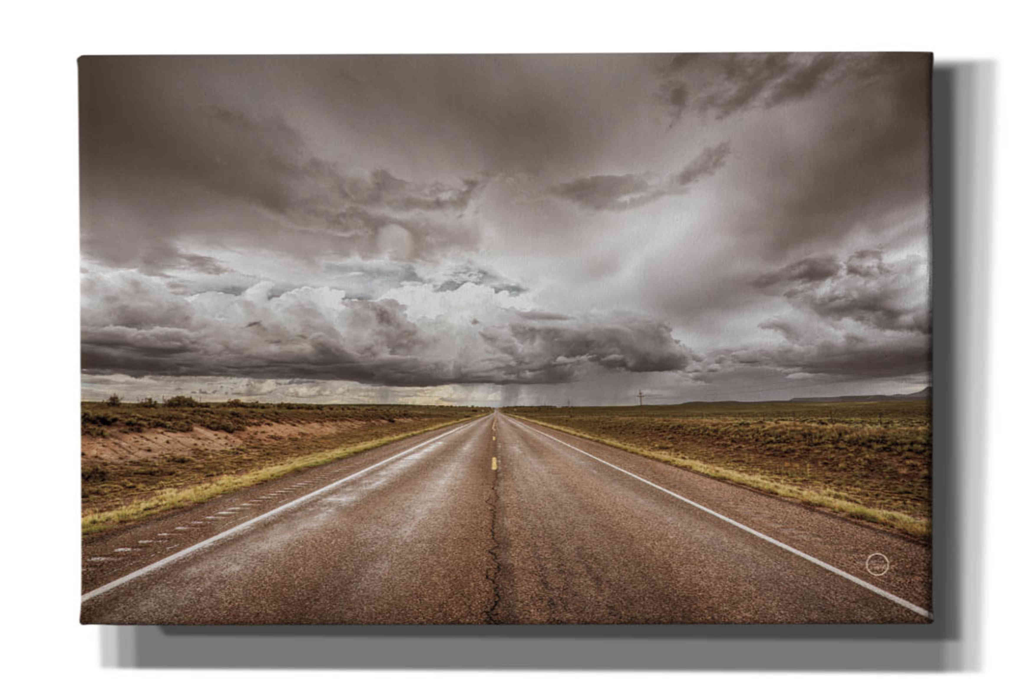 Ebern Designs 'Into The Storm'' By Nathan Larson, Canvas Wall Art | Wayfair