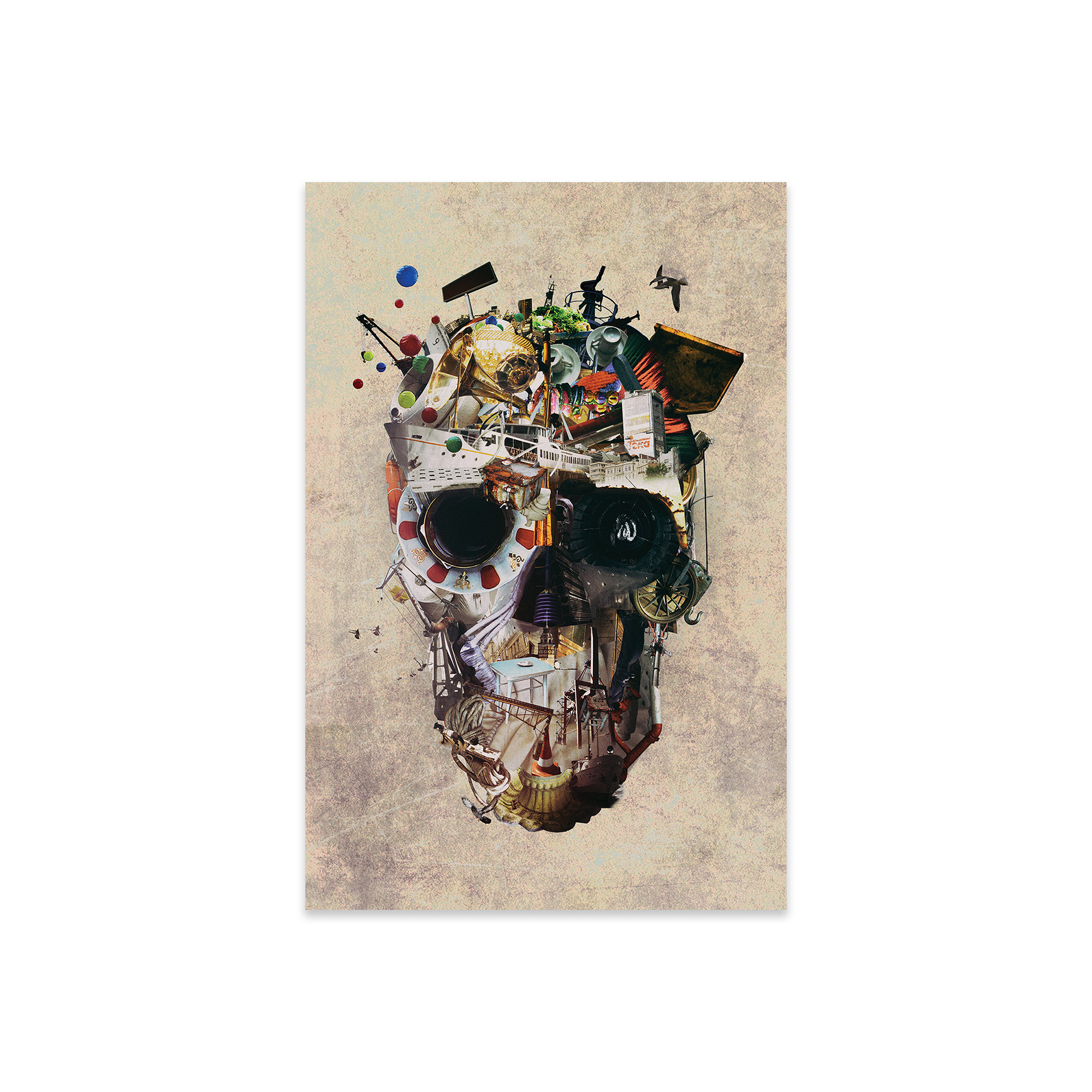 Trinx Istanbul Skull II by Ali Gulec - No Frame Print on Glass | Wayfair