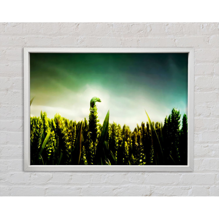 Bright Star Lizard Perch - Single Picture Frame Print on Canvas ...