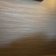 Laurel Foundry Modern Farmhouse Blume Abstract Roll & Reviews | Wayfair