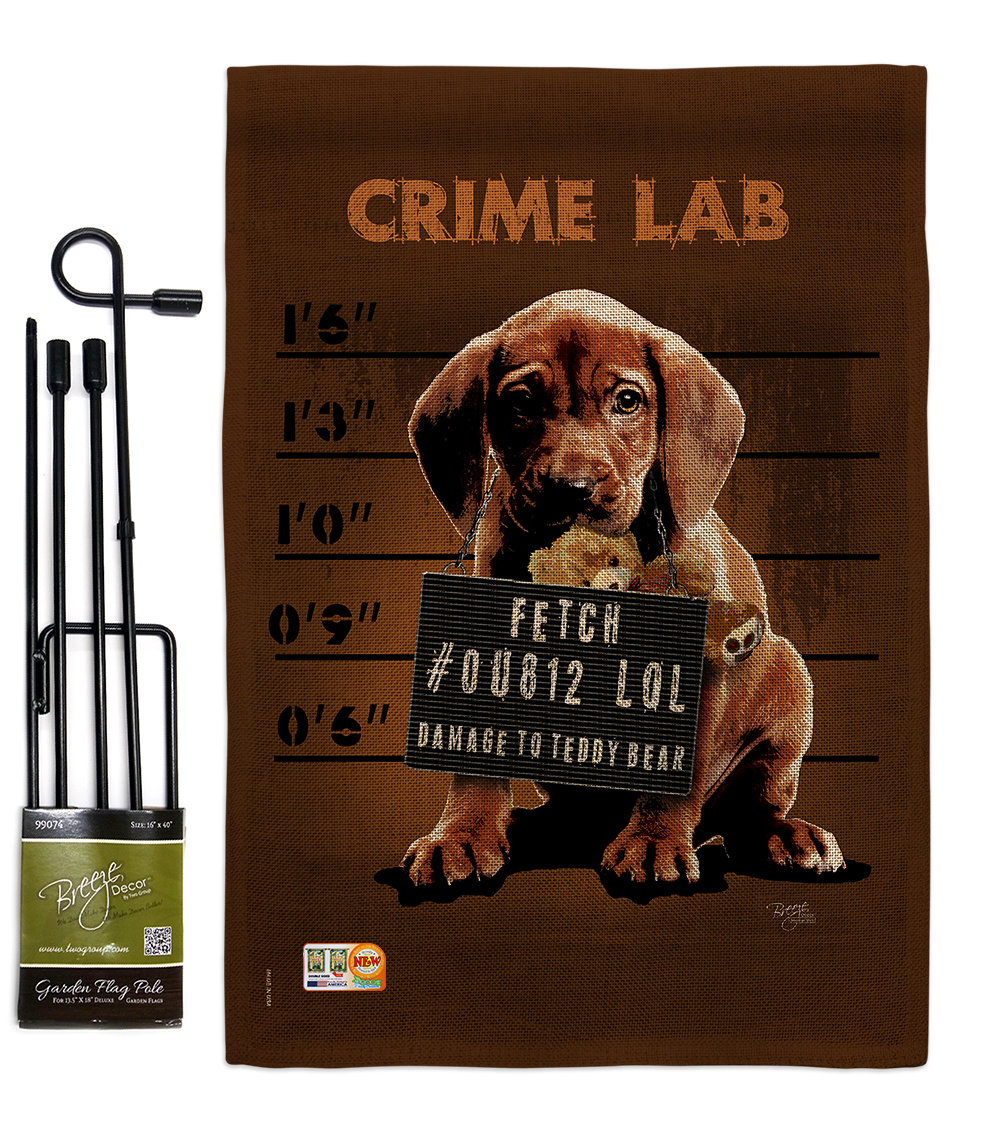 Winston Porter Tallis Crime Lab 2-Sided Burlap 19 x 13 in. Garden Flag ...