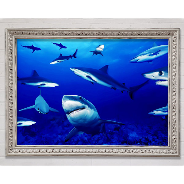 Bright Star Sharks Ocean - Single Picture Frame Art Prints | Wayfair.co.uk