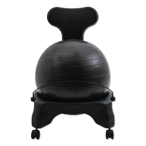 Inbox Zero Backed Ergonomic Ball Chair with Wheels | Wayfair
