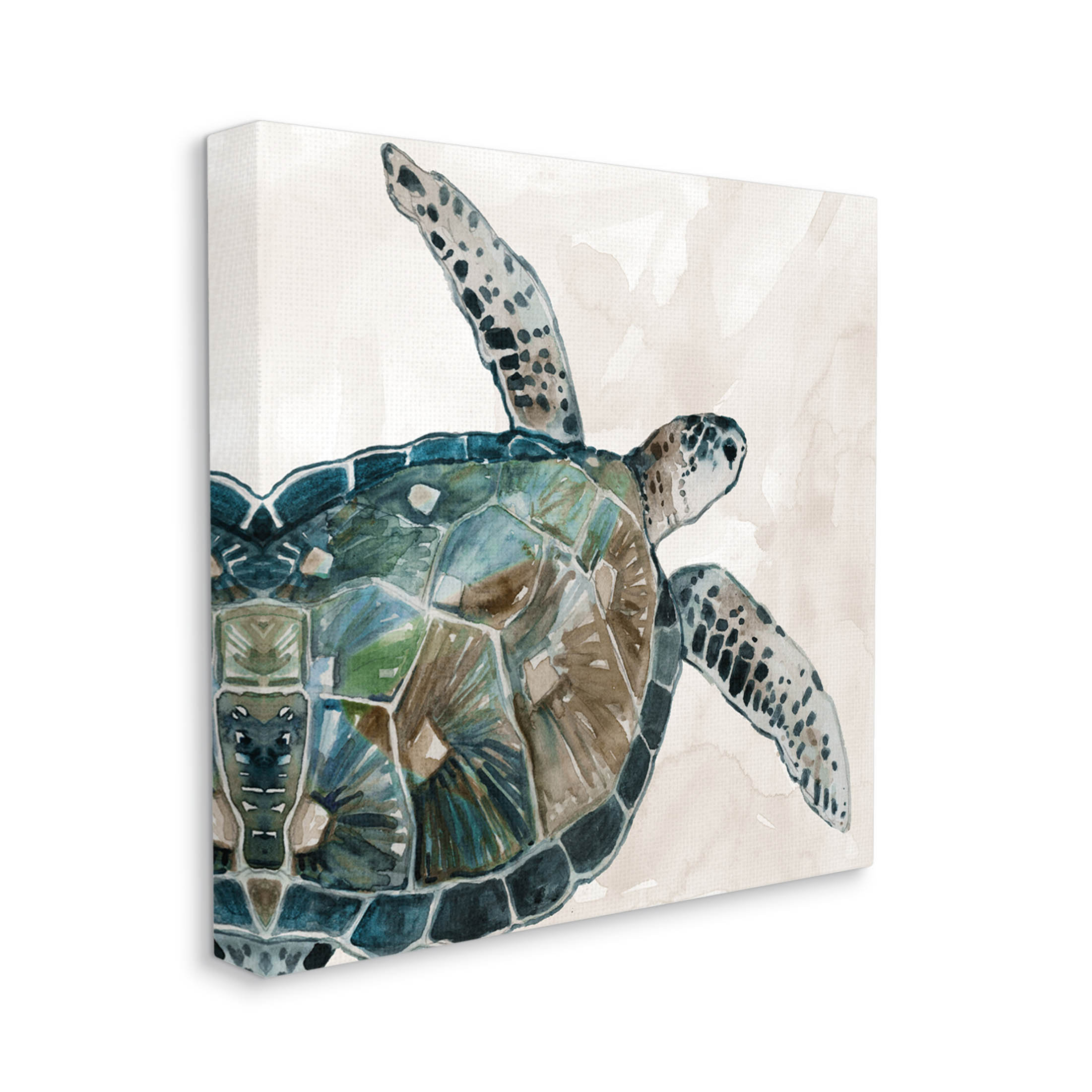 Stupell Industries Brown Tortoise Sea Life Canvas Wall Art By Carol ...