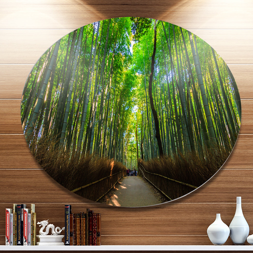 Design Art 'Road through Dense Bamboo Groves' Photographic Print on ...