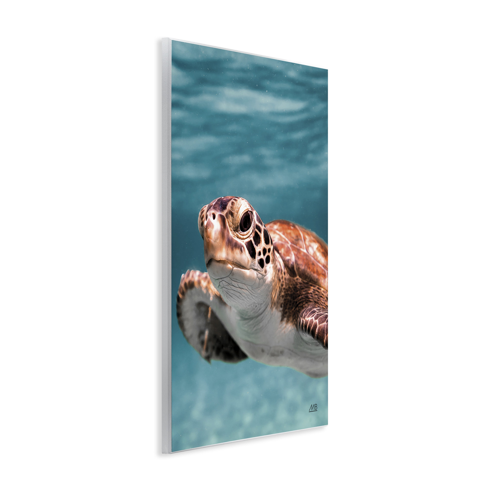 Union Rustic Underwater Sea Turtle Swim Wall Plaque Art by Max ...