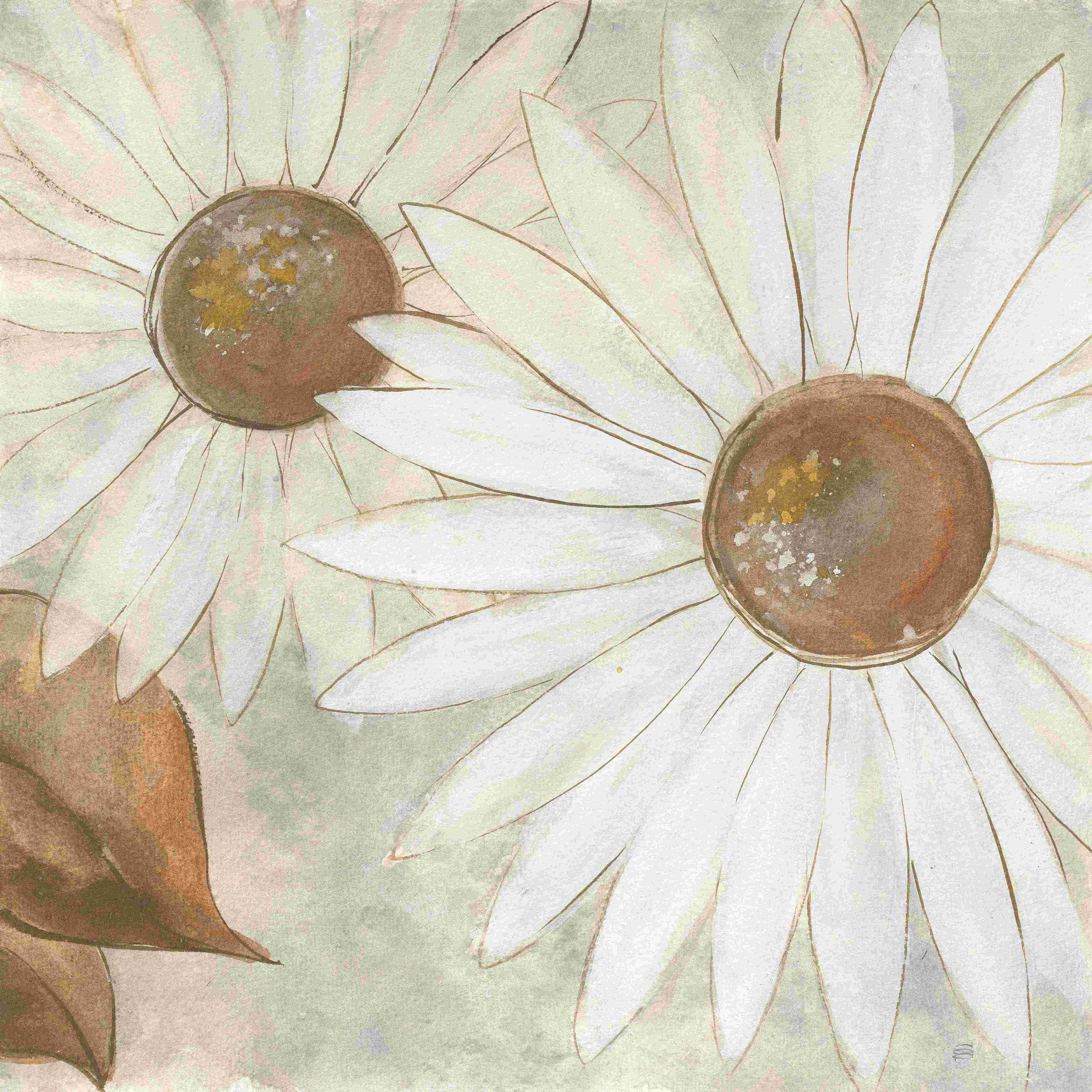 Winston Porter Daisy Do II Neutral by Chris Paschke - Wrapped Canvas ...