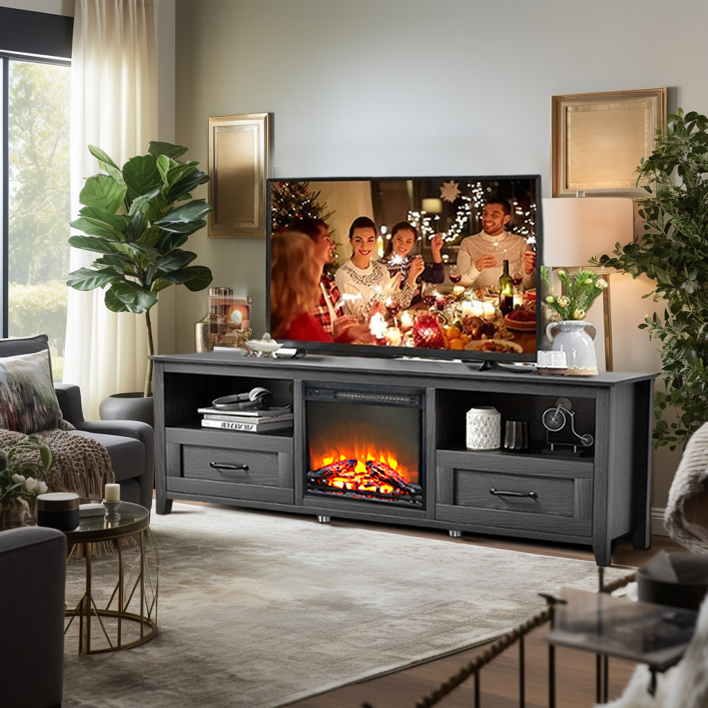 Winston Porter Fireplace TV Stand for Up to 80 Inch TV, 70 Inch ...