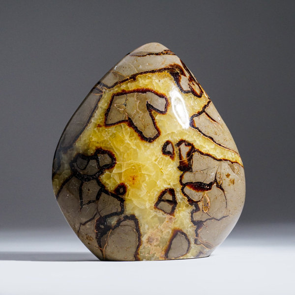 Astro Gallery of Gems Polished Septarian Freeform from Madagascar (2.5 ...