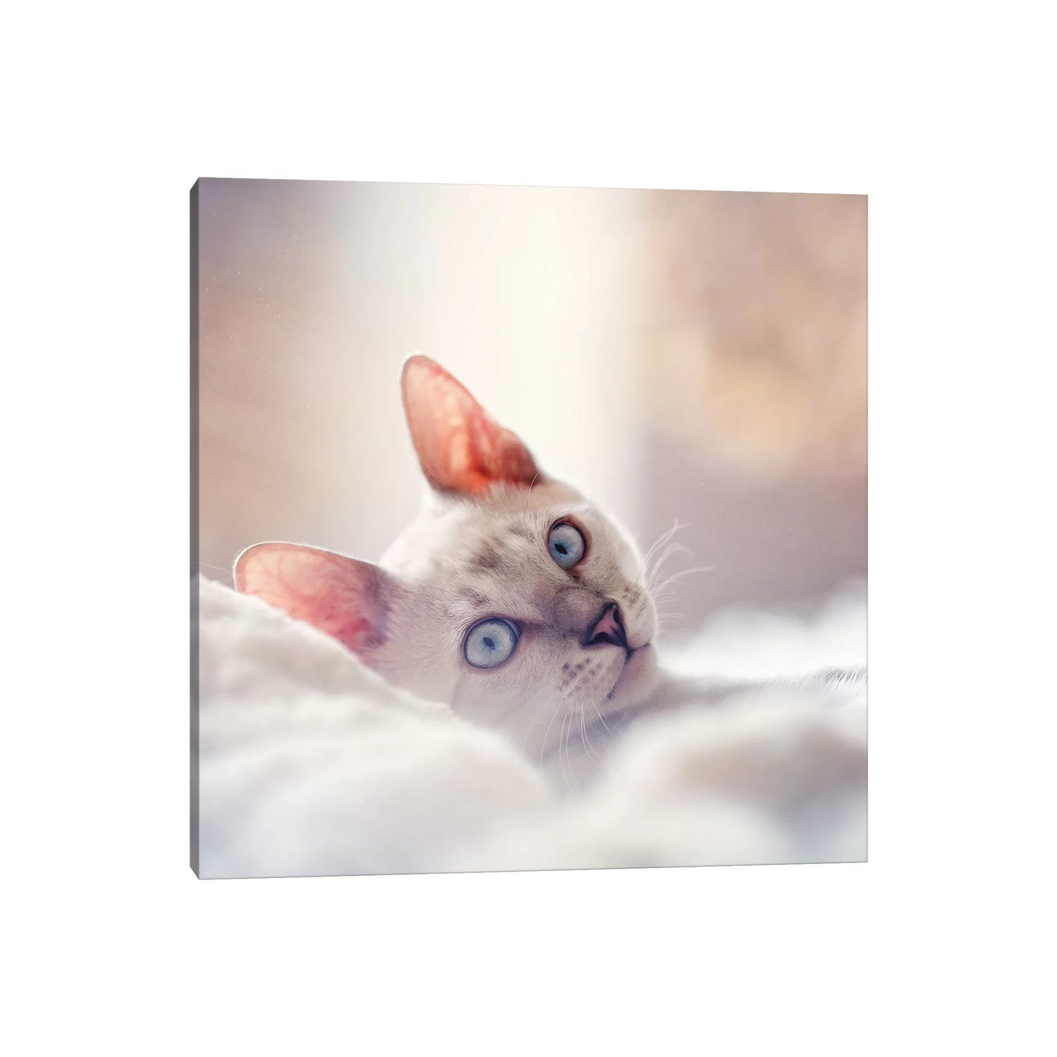 East Urban Home Cozy Cat - Wayfair Canada