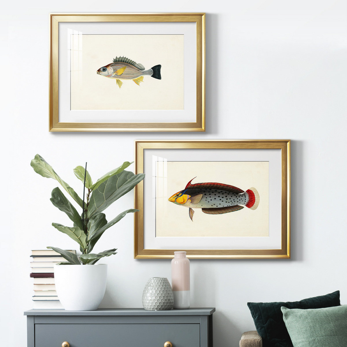 Rosecliff Heights Tropical Fish Collection III - 2 Piece Picture Frame ...