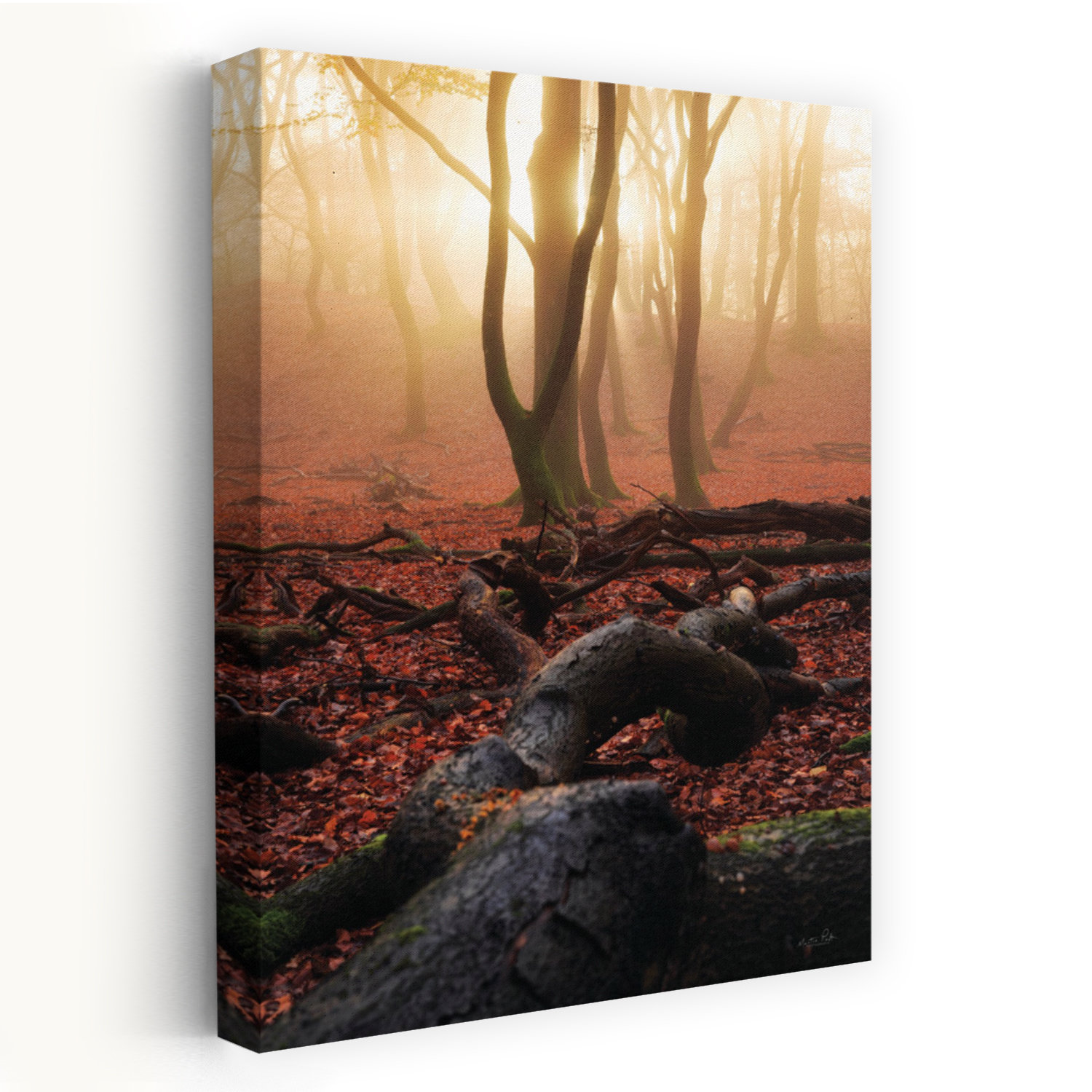 Ophelia & Co. Breaking Through Abstract Contemporary Forest Landscape ...