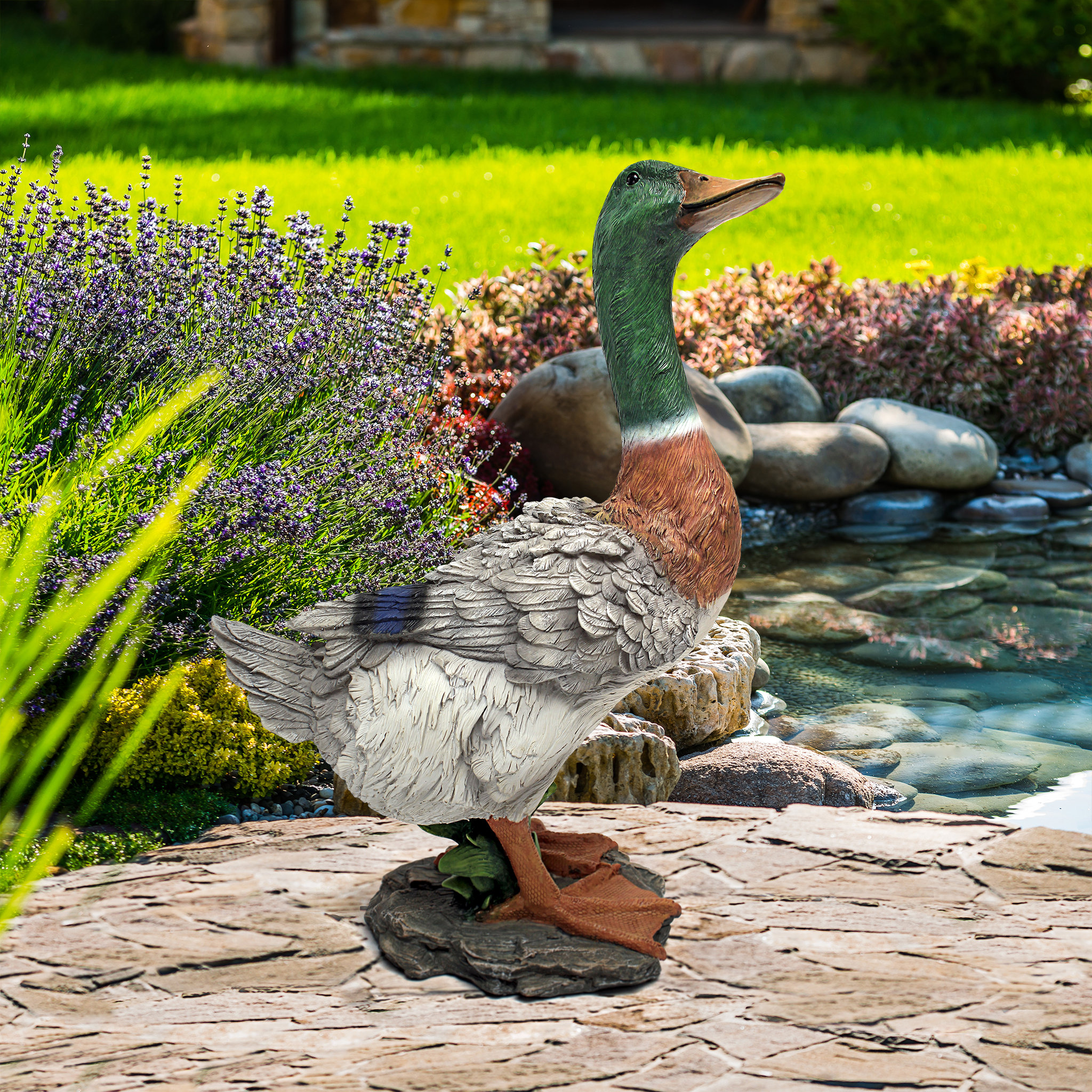 Design Toscano Mallard Duck Statue & Reviews | Wayfair