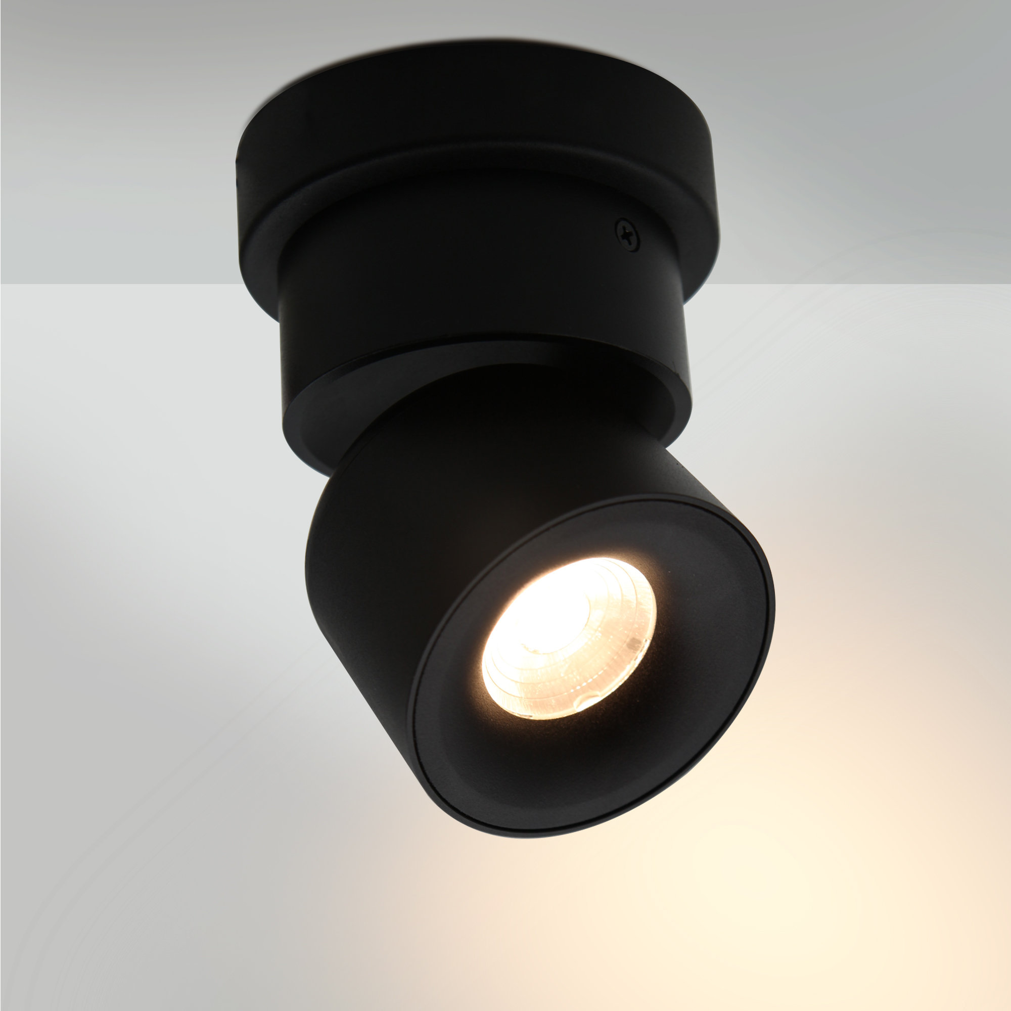 Ebern Designs Dejahne 2-Pack Matte Black Rotatable LED Spotlights, 6W ...