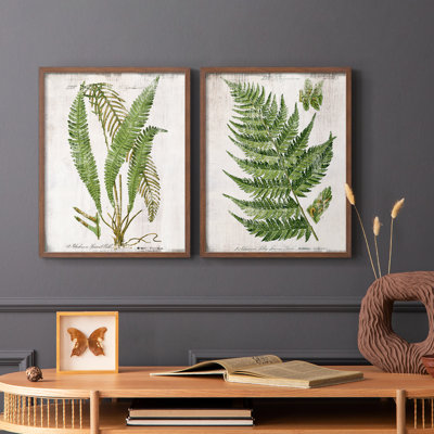 Winston Porter Fern I-Premium Framed Print -Ready to Hang - No Nails ...