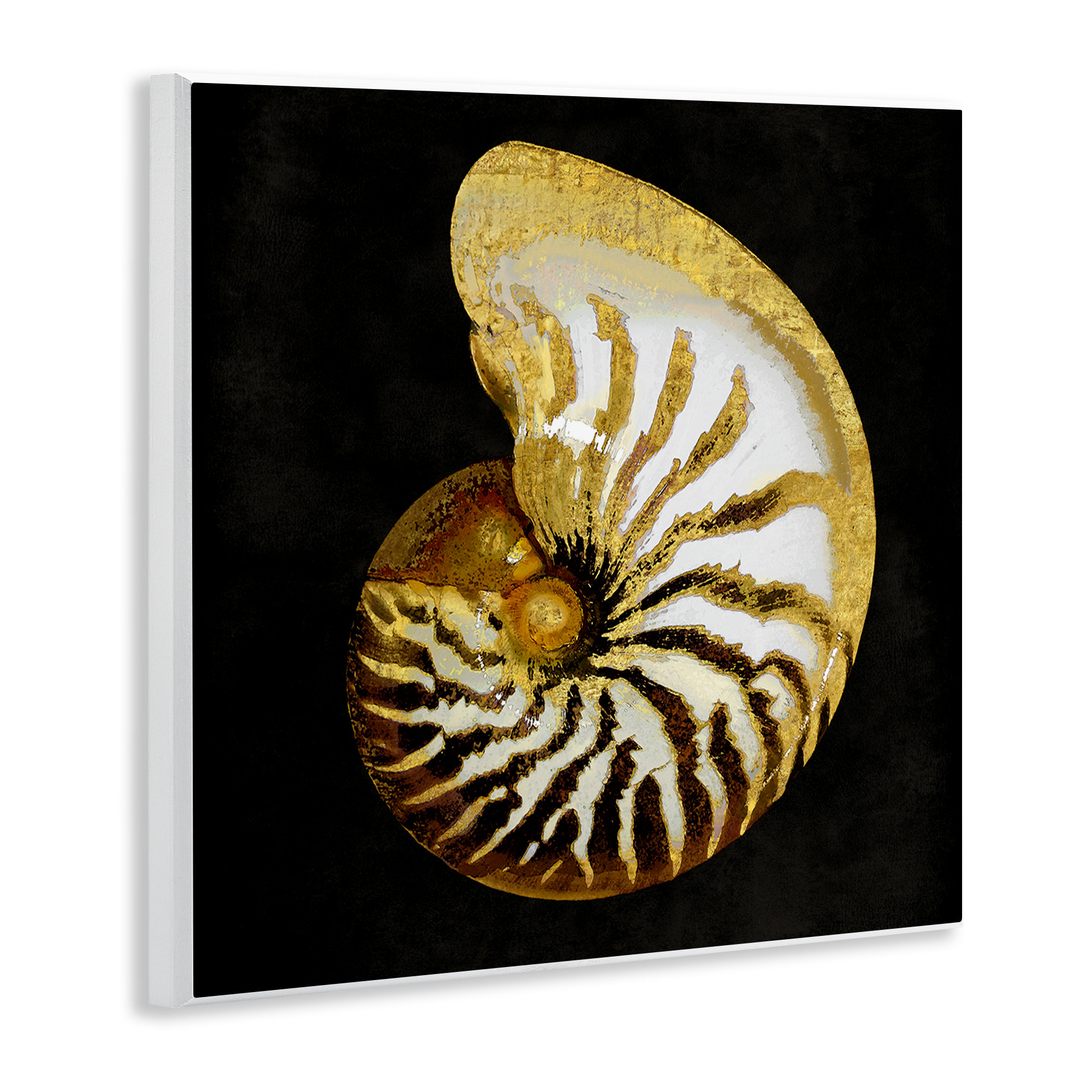Highland Dunes Spiral Patterned Shell Wall Plaque Art by Caroline Kelly ...