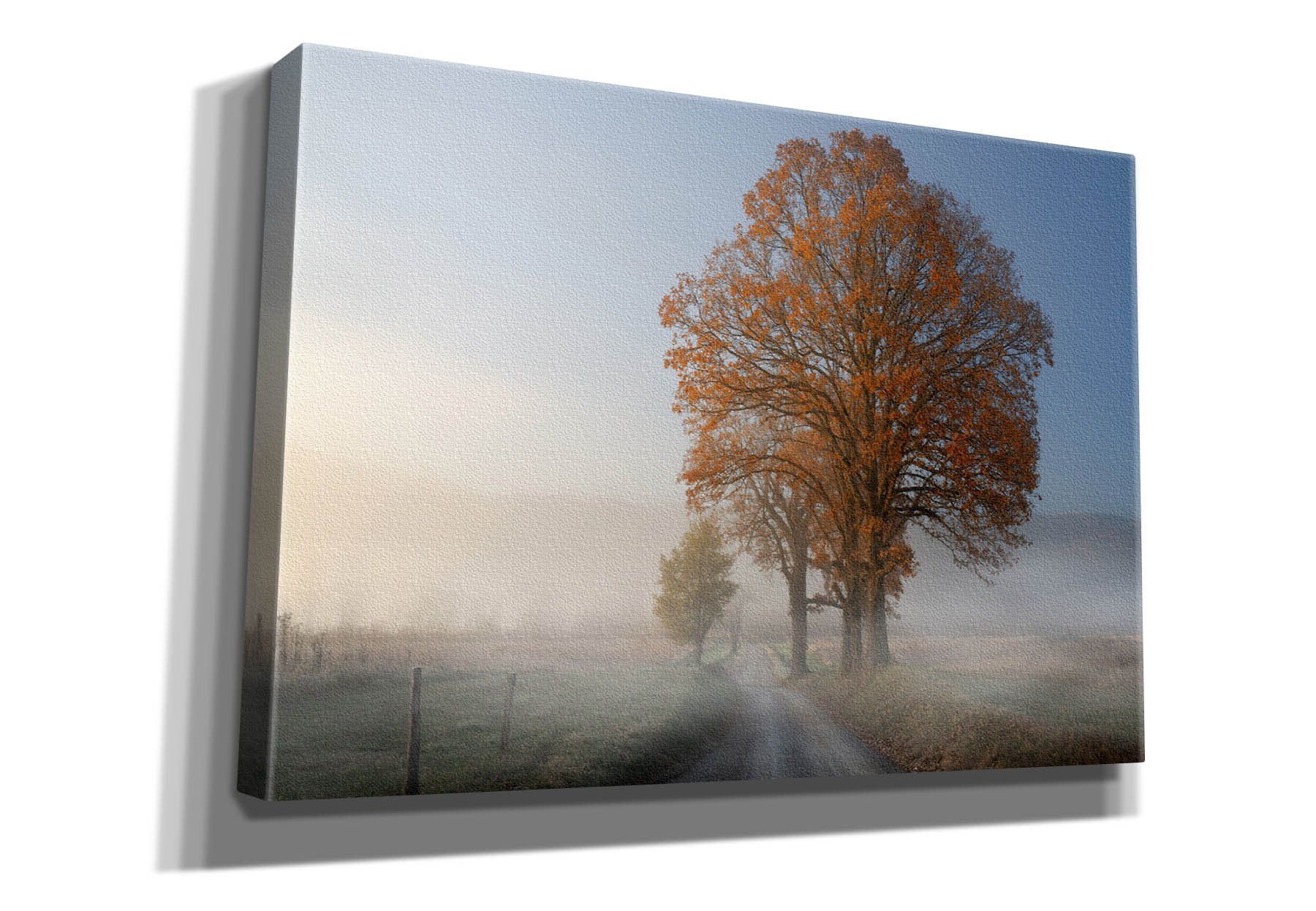Epic Graffiti 'Autumn On Hyatt Lane' by Rick Berk Canvas Wall Art | Wayfair