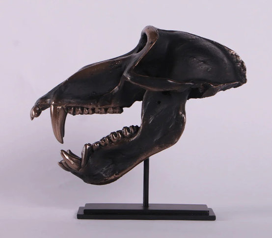 Trinx Jermere Monkey Baboon Skull Life Size Statue | Wayfair