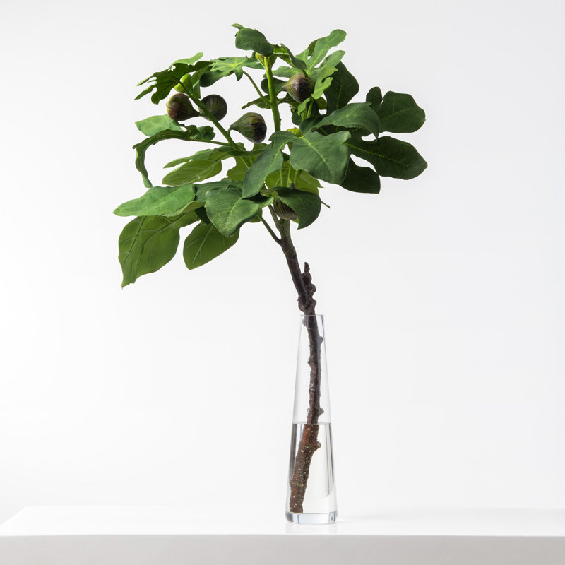 DarbyCreekTrading Fig Branch Centerpiece in Vase | Wayfair