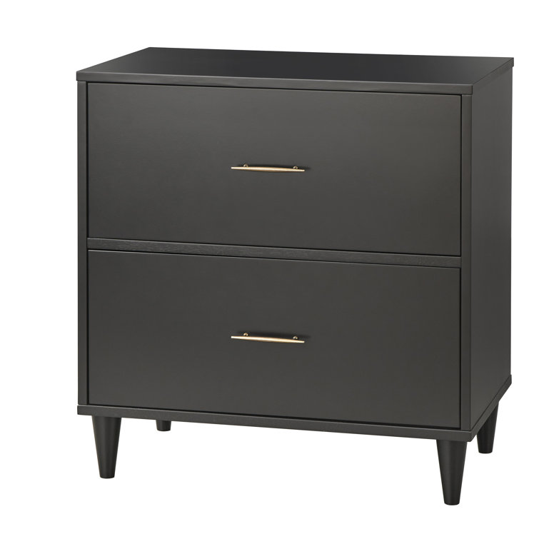 George Oliver 30'' Wide 2 -Drawer File Cabinet | Wayfair