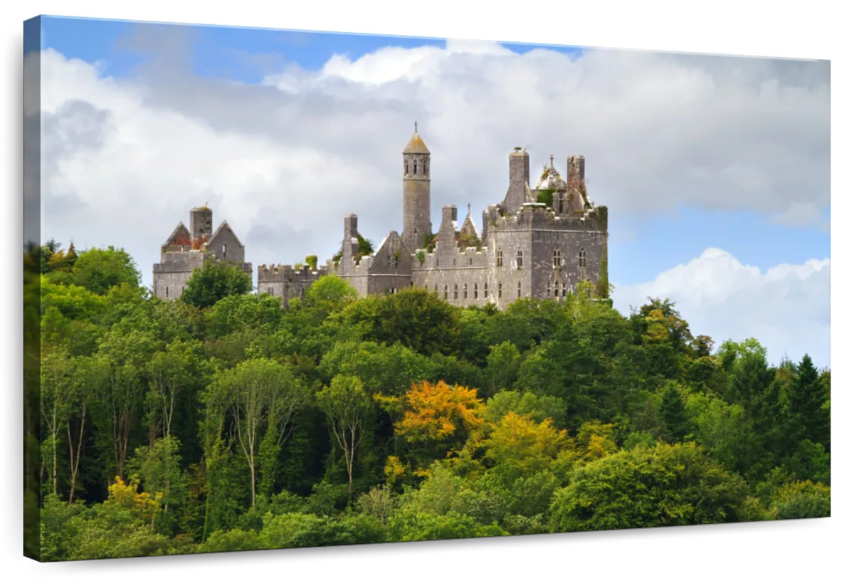 Ebern Designs Lilie Ireland's Dromore Castle | Wayfair