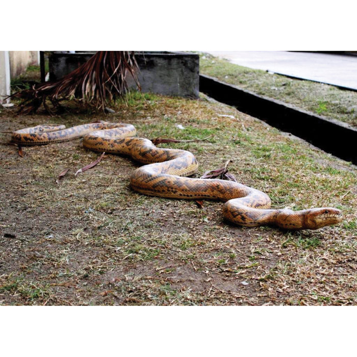 Design Toscano Giant Burmese Python Snake Statue | Wayfair