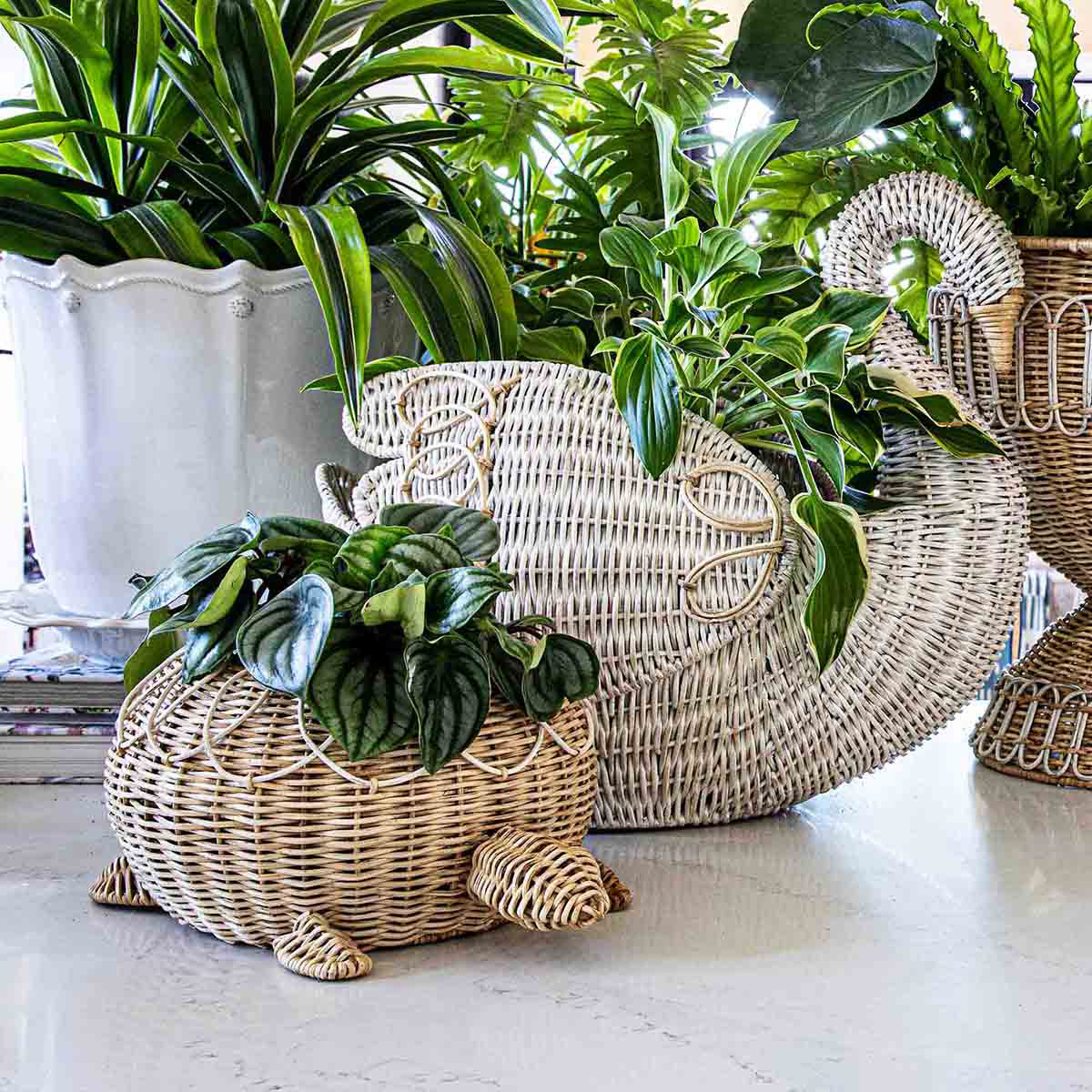 Juliska Provence Rattan Turtle Bowl - Whitewash | Wayfair