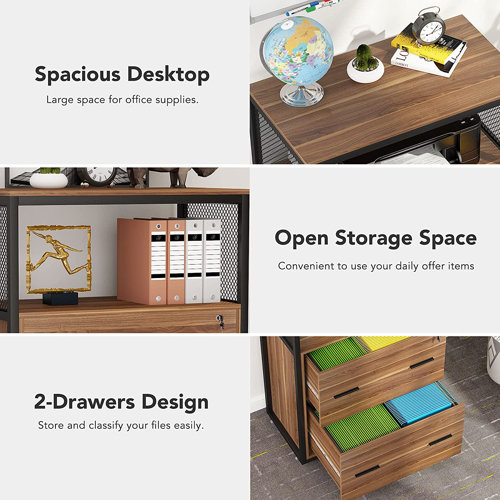 Inbox Zero 23.6'' Wide 2 -Drawer File Cabinet & Reviews | Wayfair