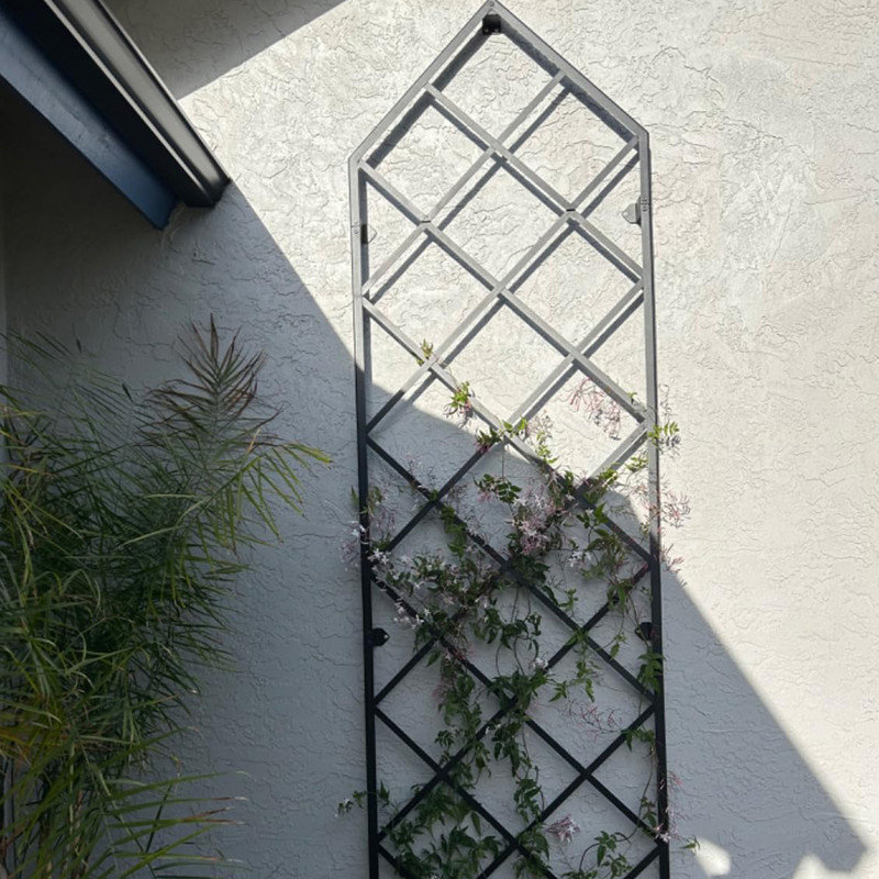 Hokku Designs Gable Wall Trellis | 9 Feet Tall Sturdy Metal Frame for ...