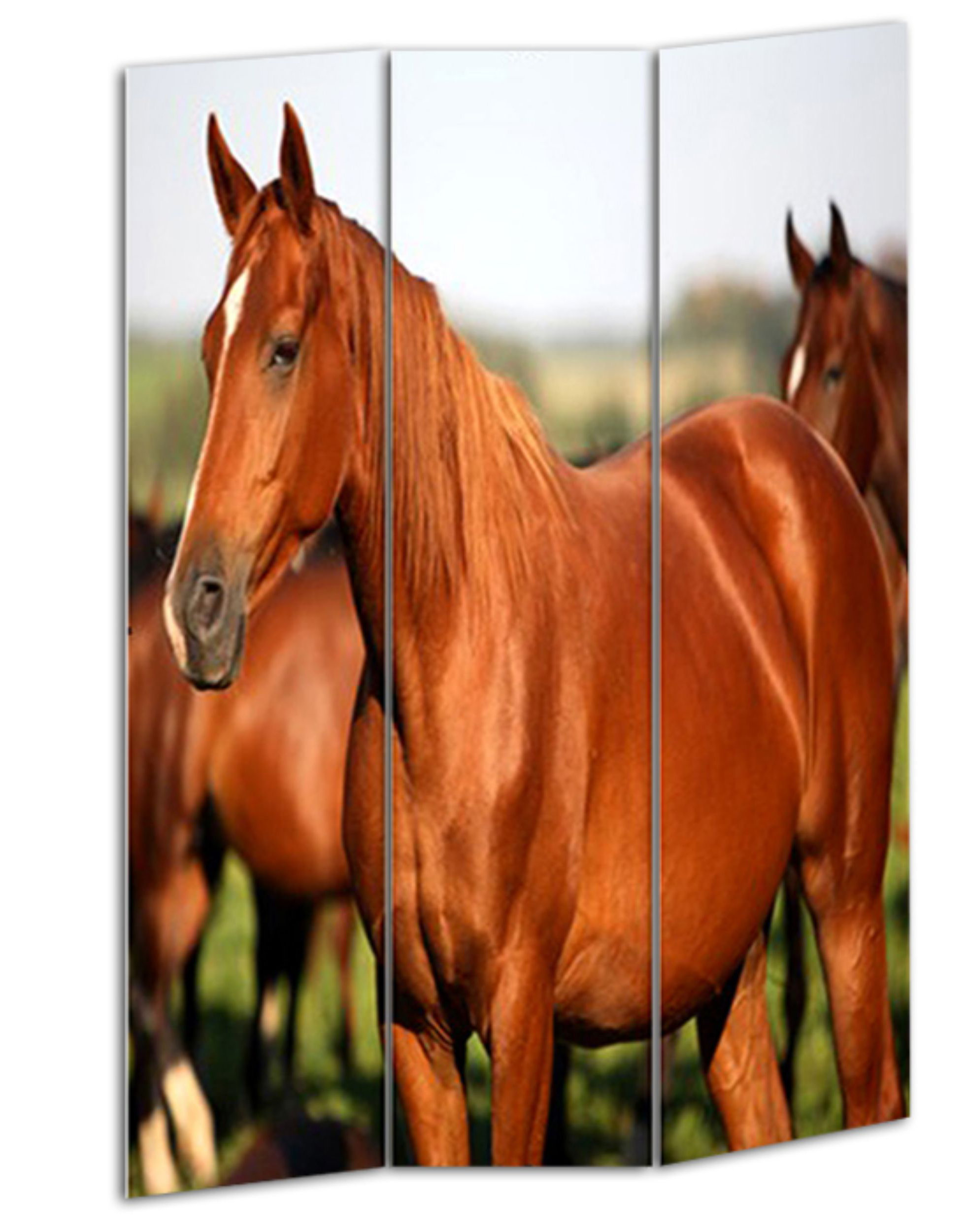 East Urban Home Fatheree 48" X 72" Multi Color Wood Canvas Horse Screen ...