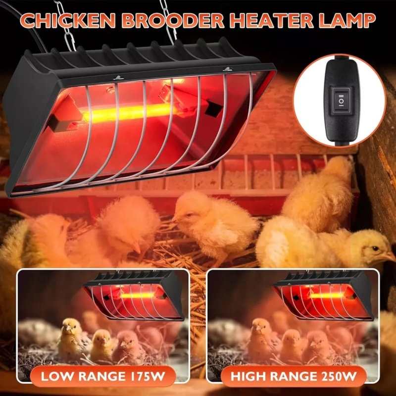 Costyle Chicken Coop Heat Lamp For Dog Kennel Cat Bed Reptiles 250w ...