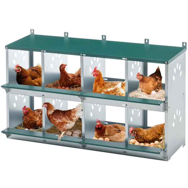 Archie & Oscar™ 8 Compartment Chicken Nesting Boxes,For Laying Eggs ...