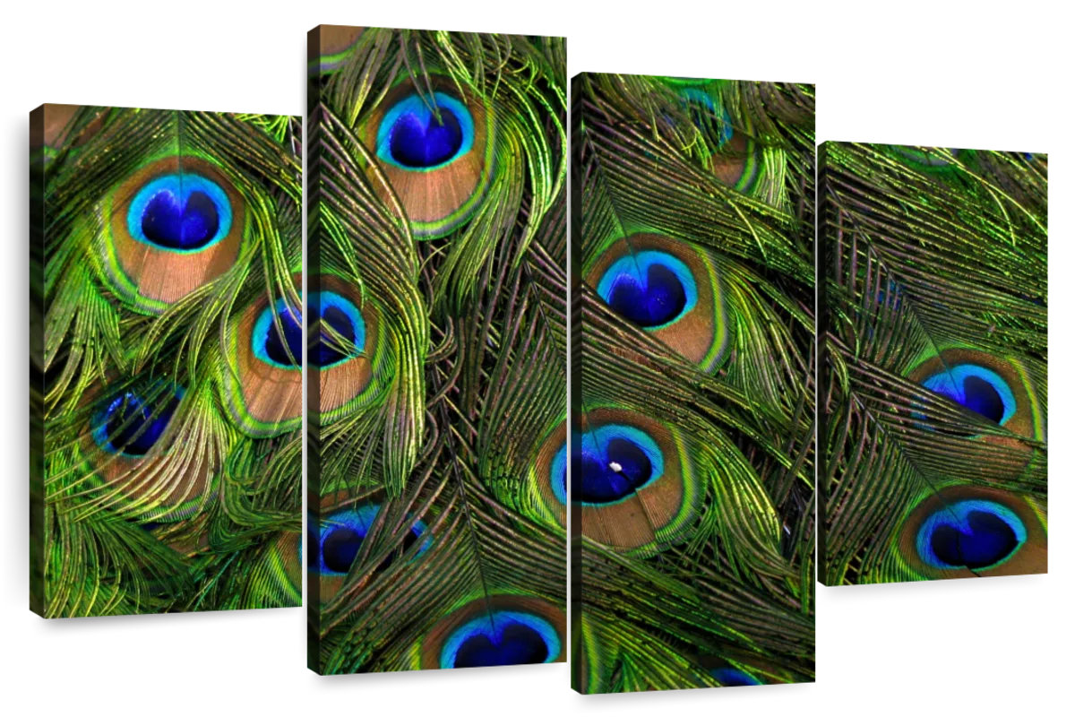 Ebern Designs Brampt Silky Peacock Feathers | Wayfair