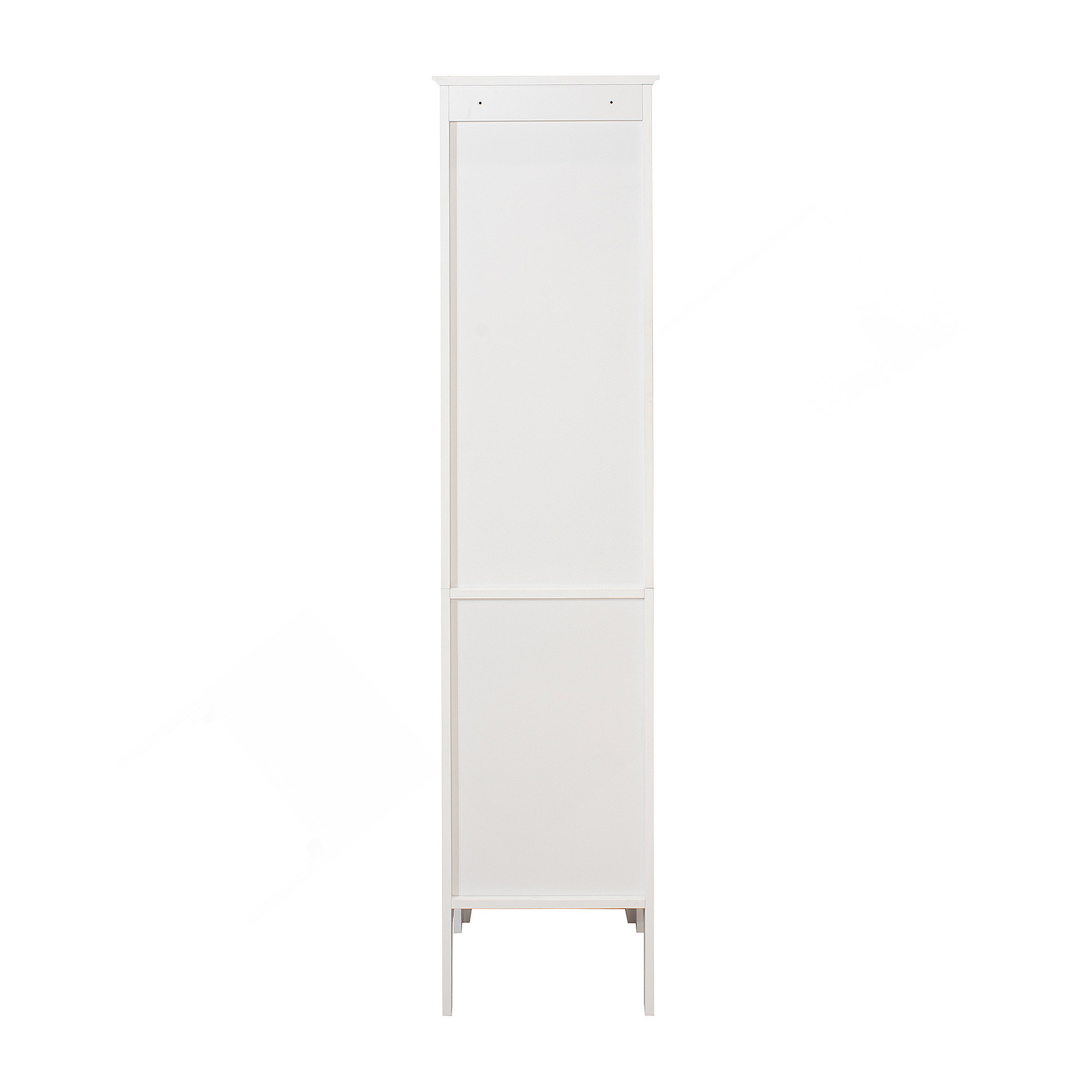 Red Barrel Studio® Tall Narrow Freestanding Cabinet with 2 Shutter ...